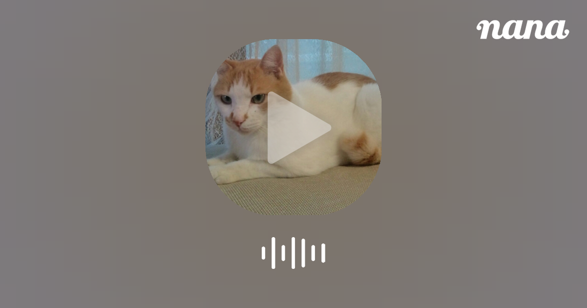 KNOW KNOW KNOW/DOES by TAISEI - 音楽コラボアプリ nana